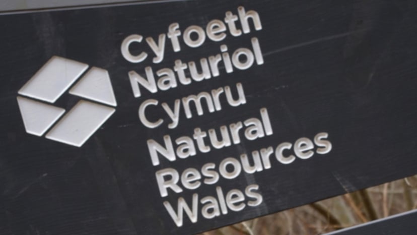 Williams and Owen challenge Natural Resources Wales embankment decision ...